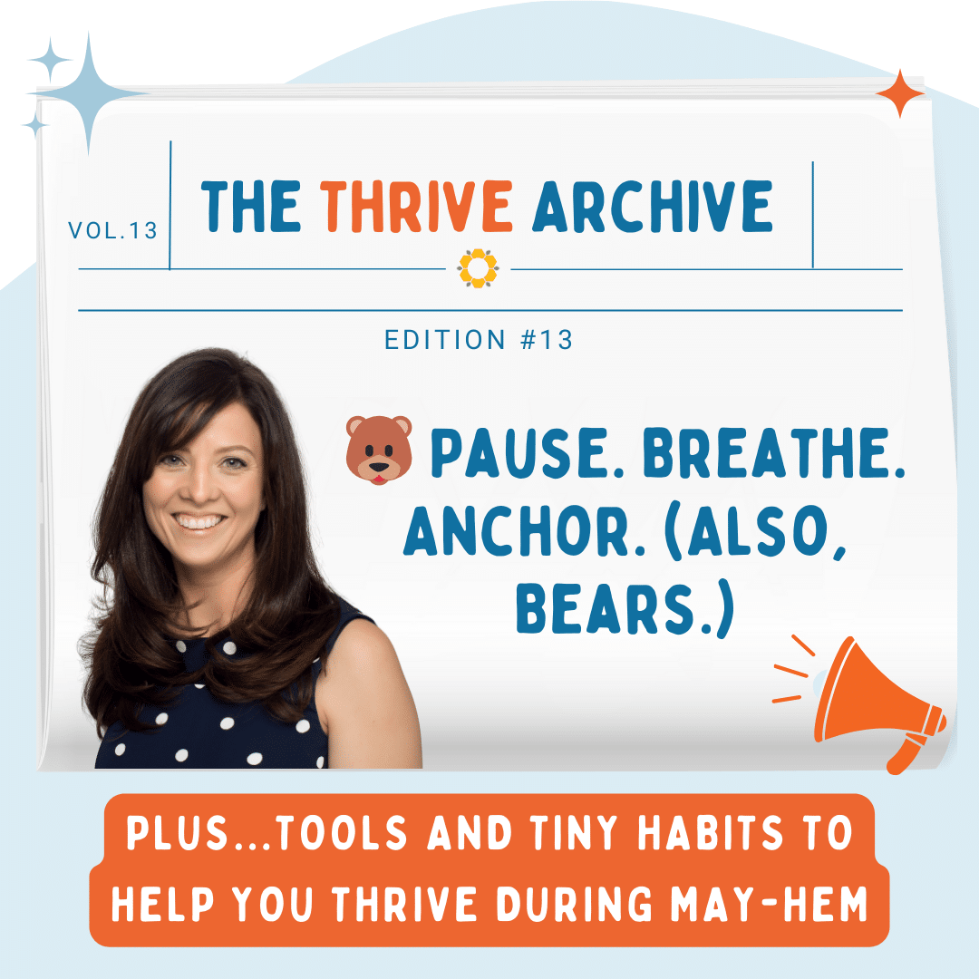 🐻 Pause. Breathe. Anchor. (Also, Bears.) - Thriving Students Collective